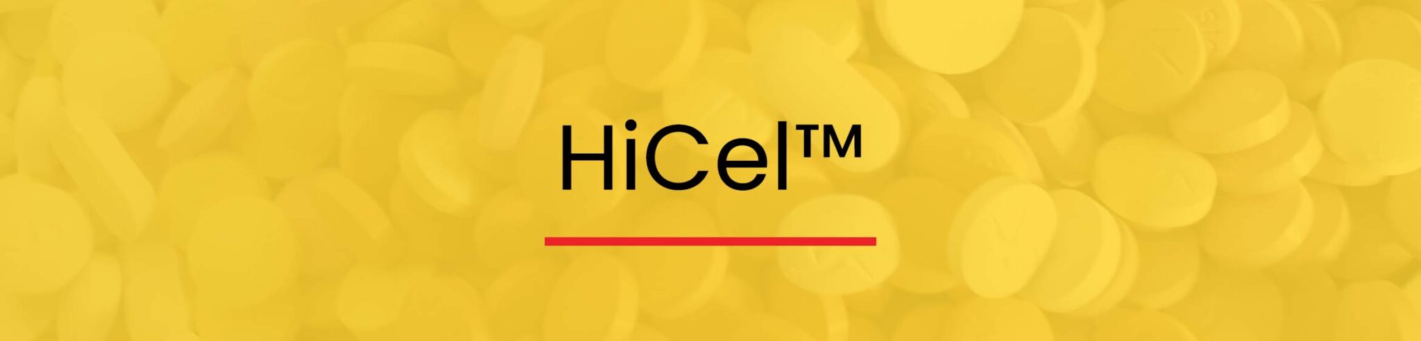 Sigachi Industries | Microcrystalline Cellulose Manufacturers ...