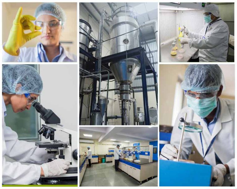 Sigachi Industries | Microcrystalline Cellulose Manufacturers ...